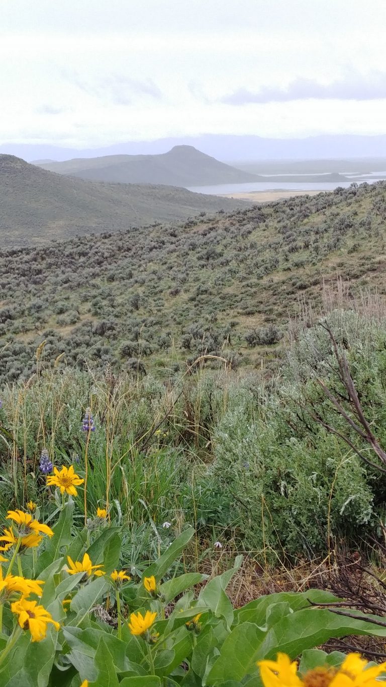 Camas County, Idaho